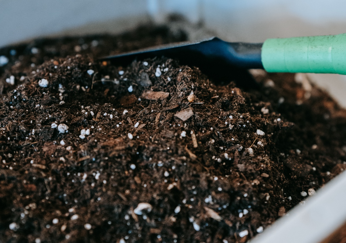 Claves para utilizar el compost en el jardín | Consumer