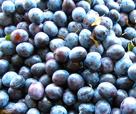 El açaí, una fruta exótica | Consumer