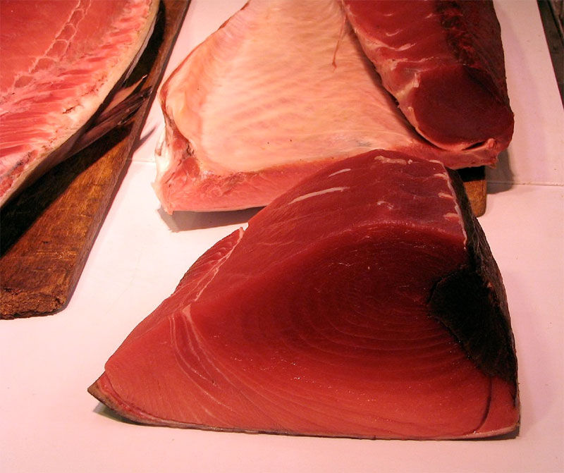 Cría de atún rojo en cautividad | Consumer