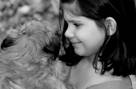 Perros y niños autistas, un amigo junto al que descubrir el mundo ...