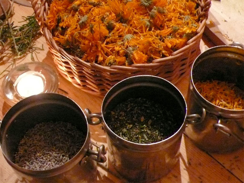 Flores para comer | Consumer