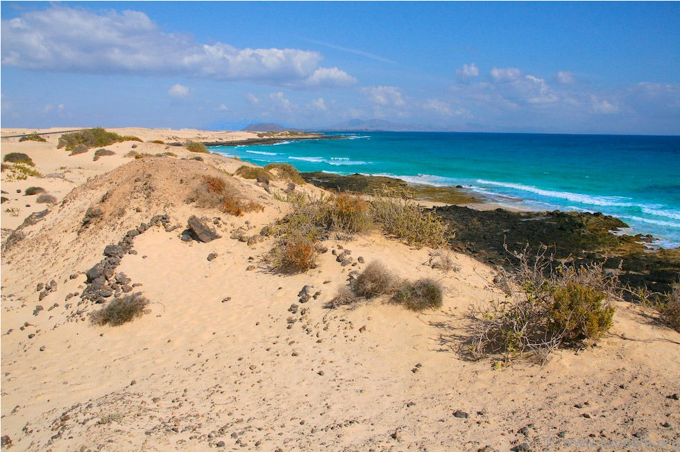 Por qué hay que proteger las dunas de las playas | Consumer