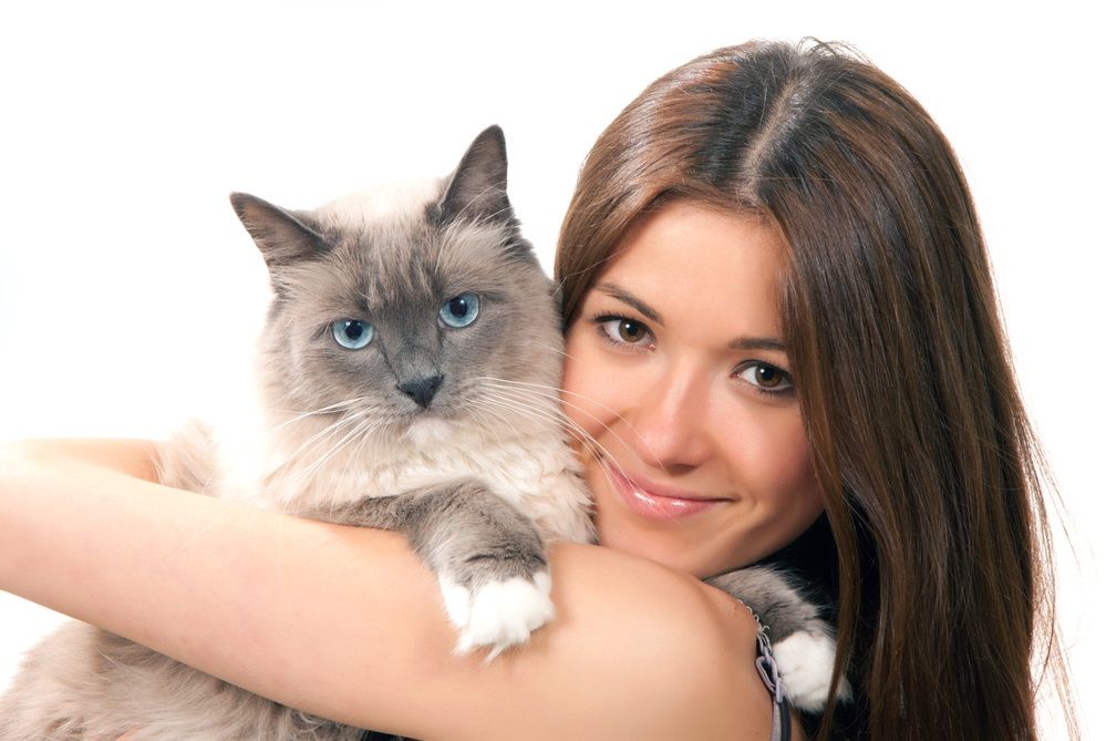 Amigos Gatos Gatos Amigos De Los Animales | Hoy En El Día Mundial Del