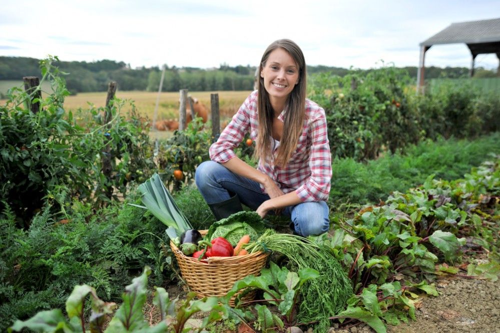 7 pasos para montar tu propio huerto ecológico en casa | Consumer