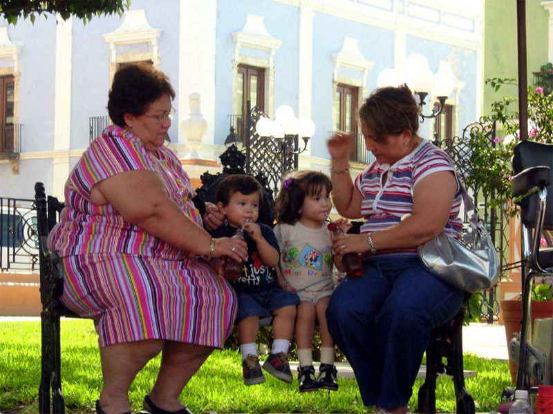 Obesidad infantil: cuando el problema está en los padres | Consumer