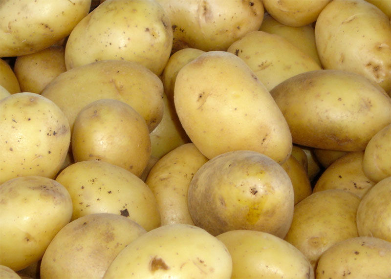 Mejores variedades de patatas | Consumer
