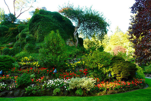 Diseñar una rocalla de jardín | Consumer