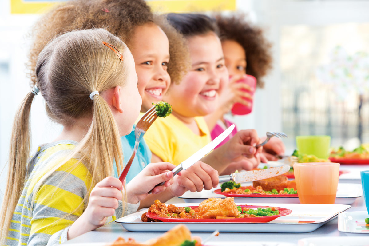 Principales causas de la obesidad infantil | Consumer