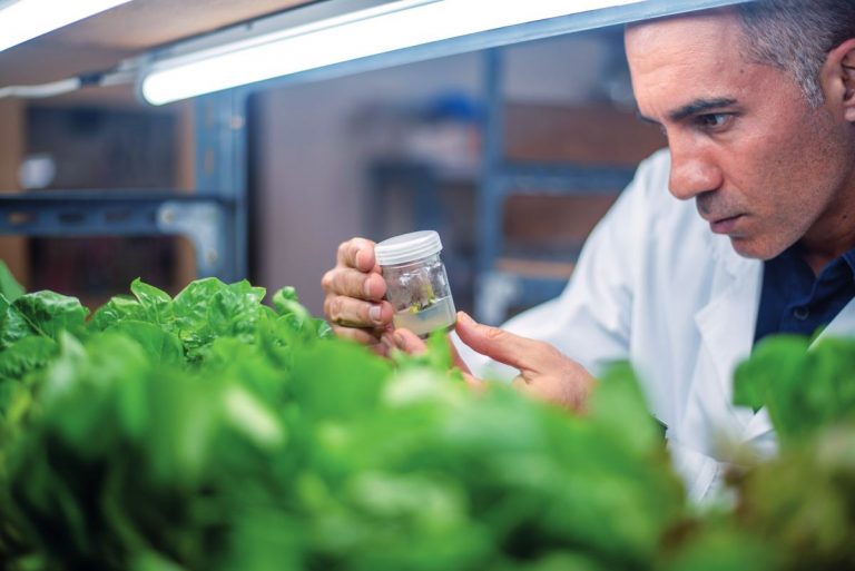 Inteligencia artificial e industria alimentaria | Consumer