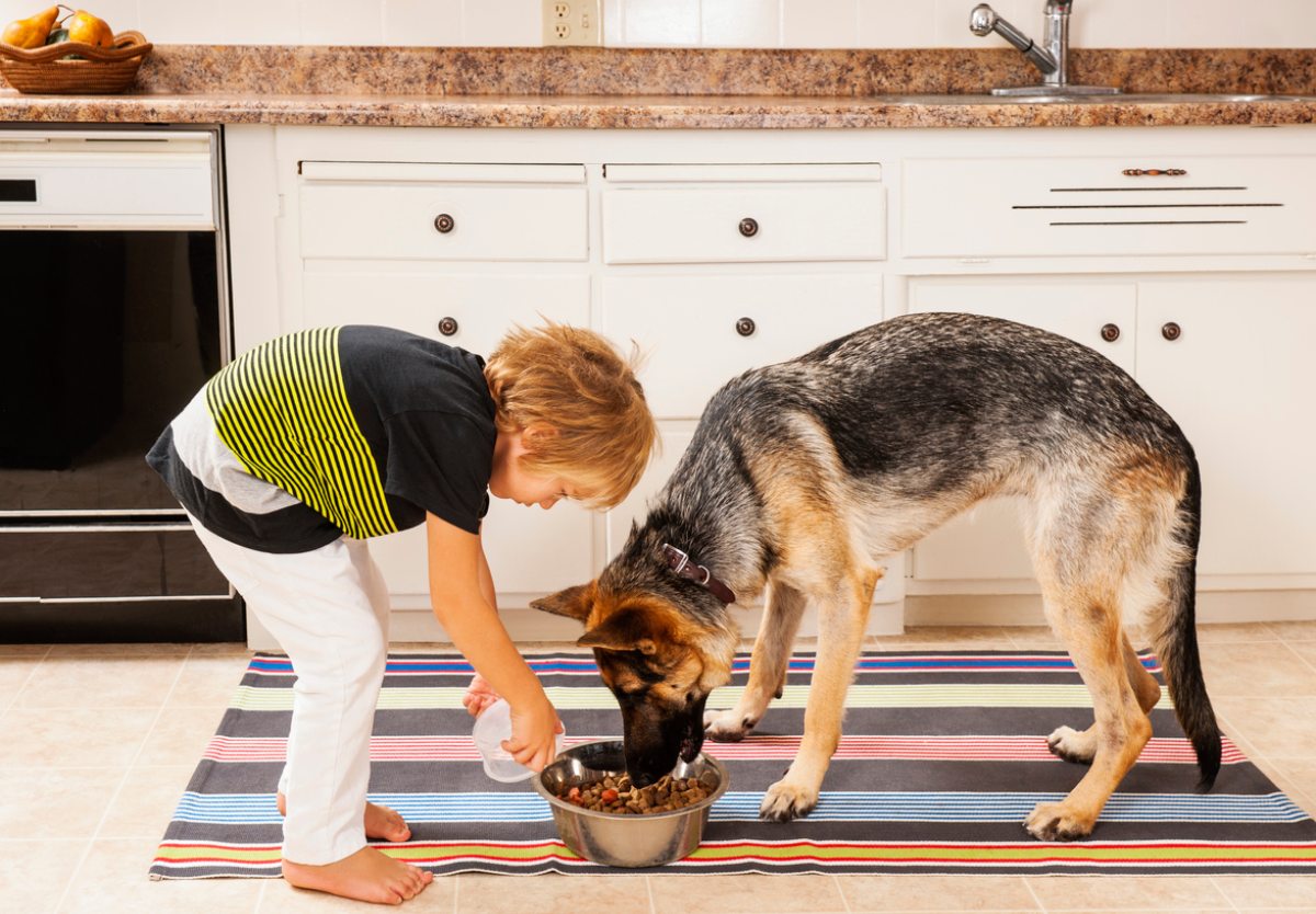 ¿Puedo comer la comida de mi perro? | Consumer