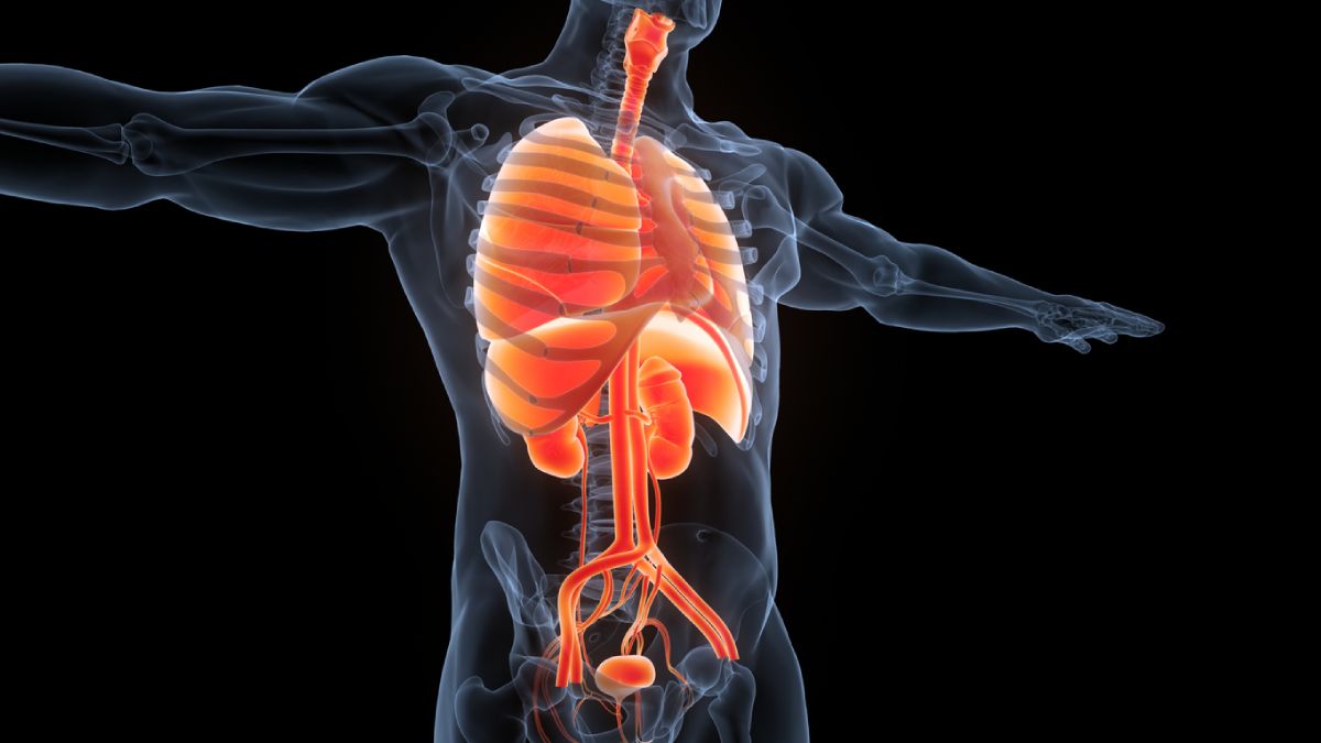 Qué es la inflamación crónica y cómo nos afecta | Consumer