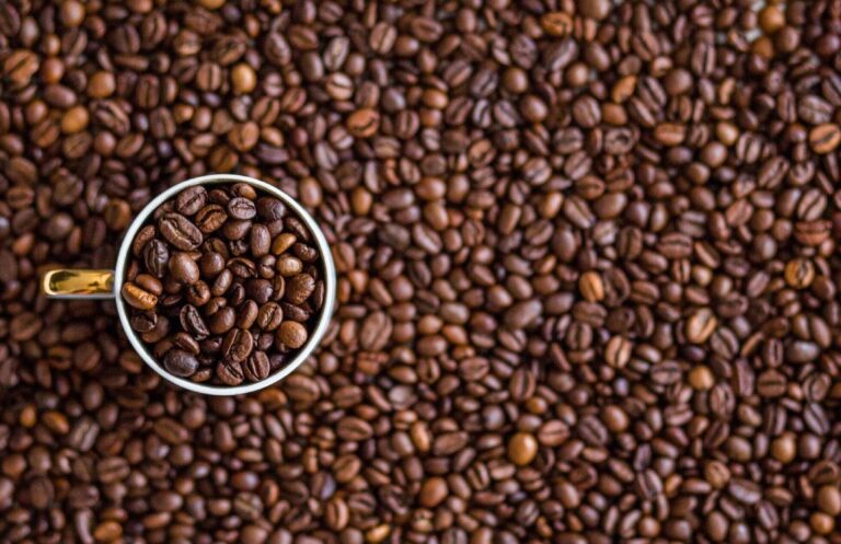 Todo lo que querías saber sobre el café | Consumer