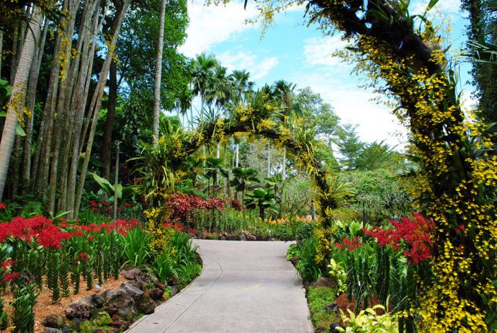 Los 16 mejores jardines botánicos del mundo | Consumer