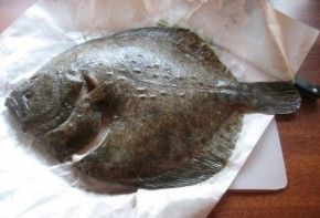 El rodaballo, ¿qué propiedades tiene y cómo aprovecharlas al máximo ...